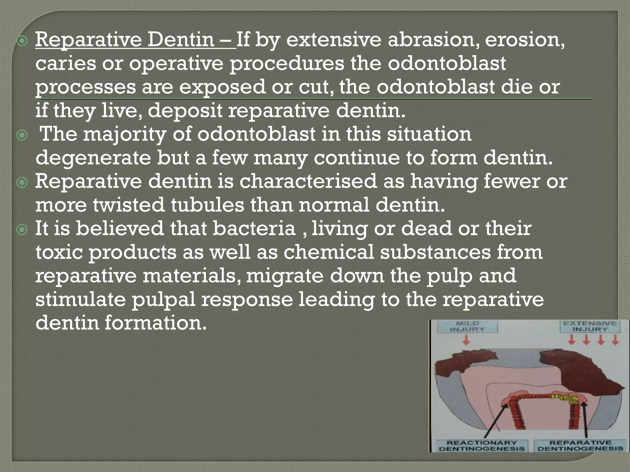 Dentin | PDF