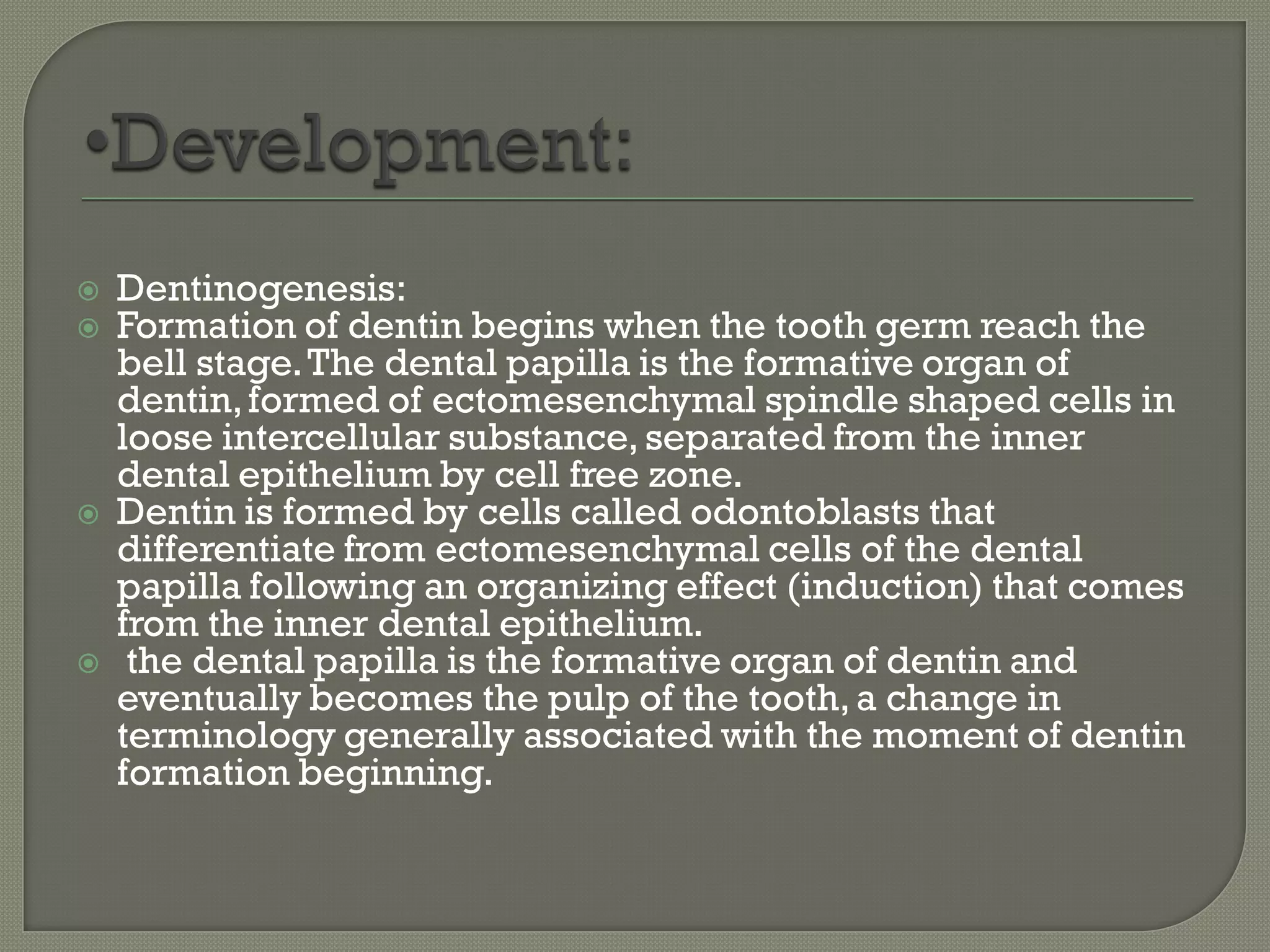 Dentin | PDF
