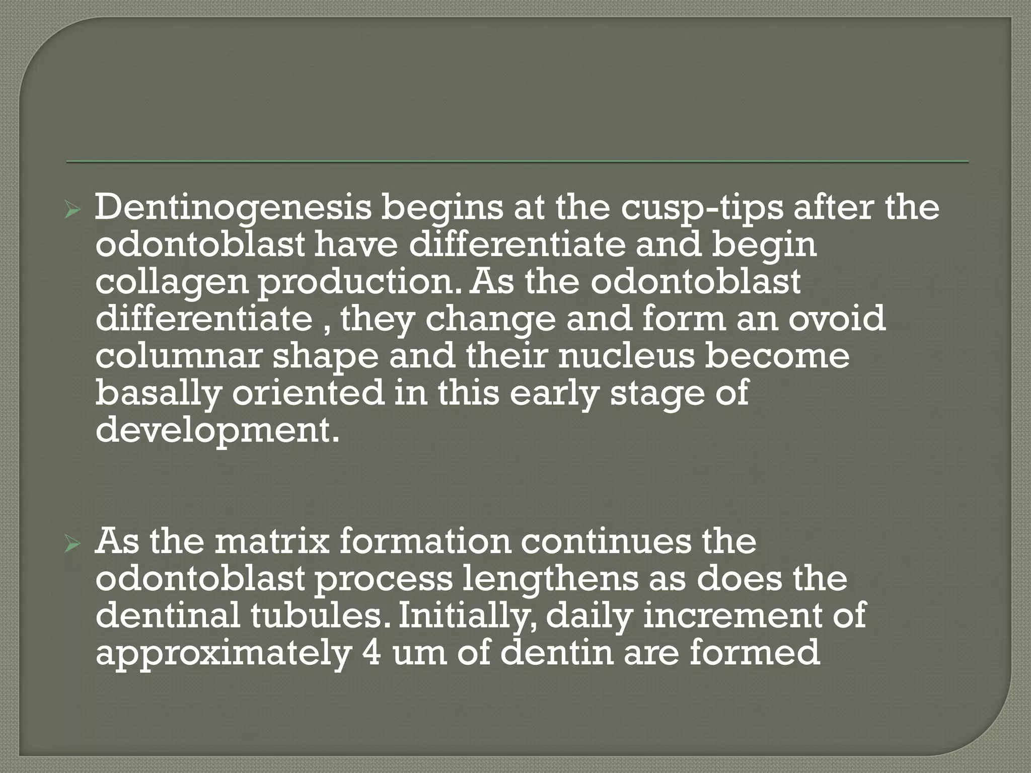 Dentin | PPT