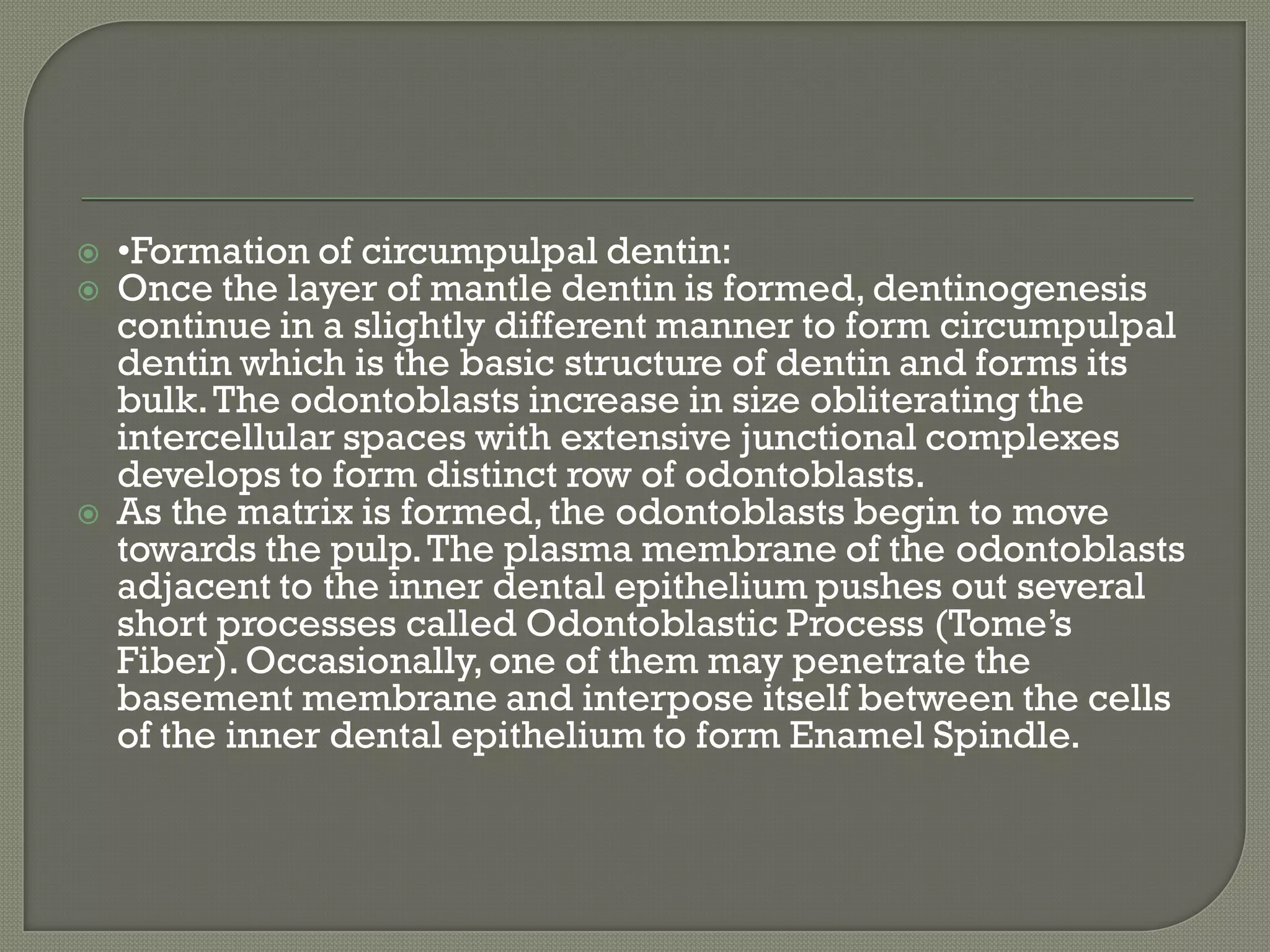 Dentin | PDF