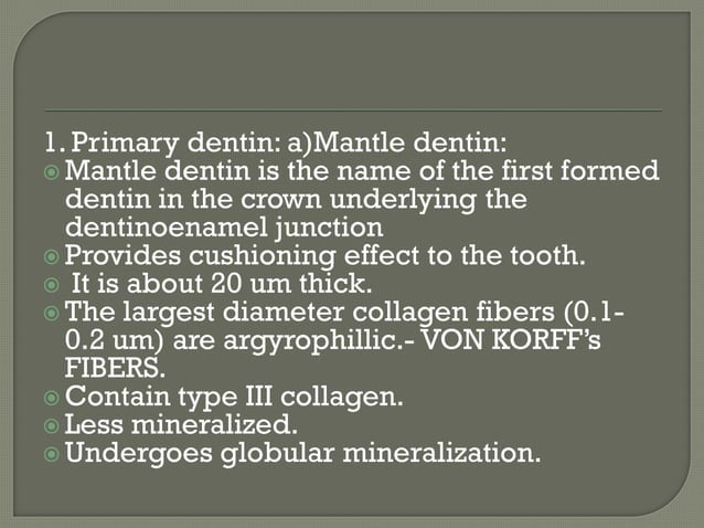 Dentin | PDF