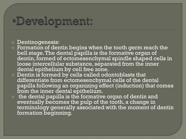 Dentin | PDF
