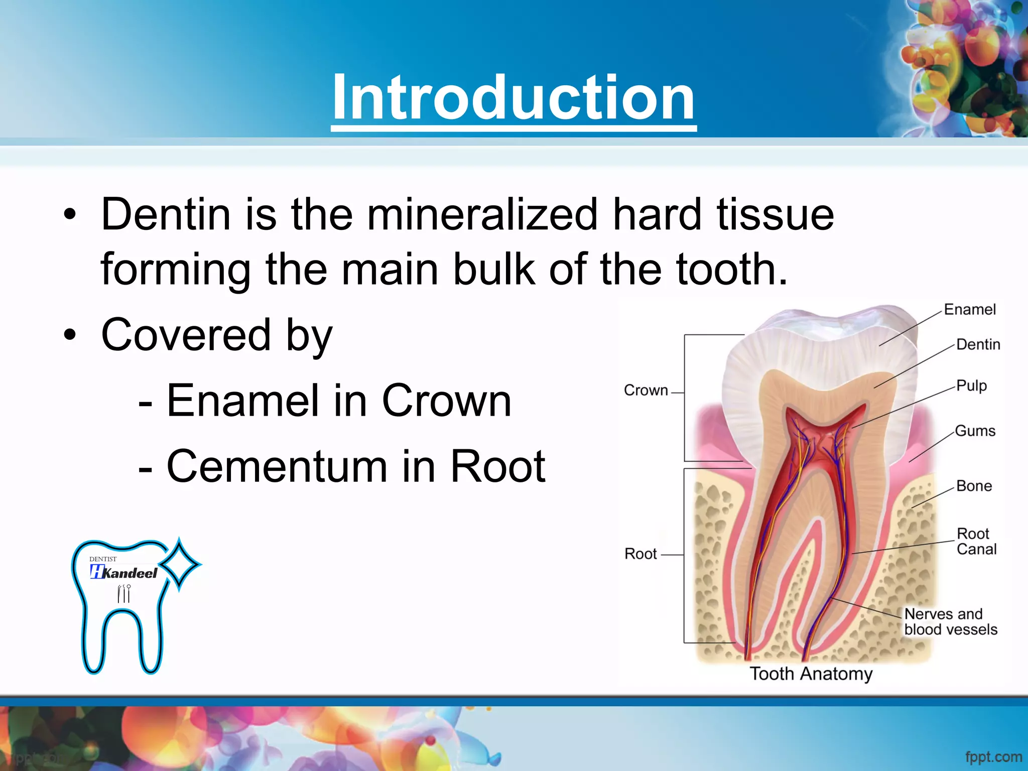 Dentin | PDF