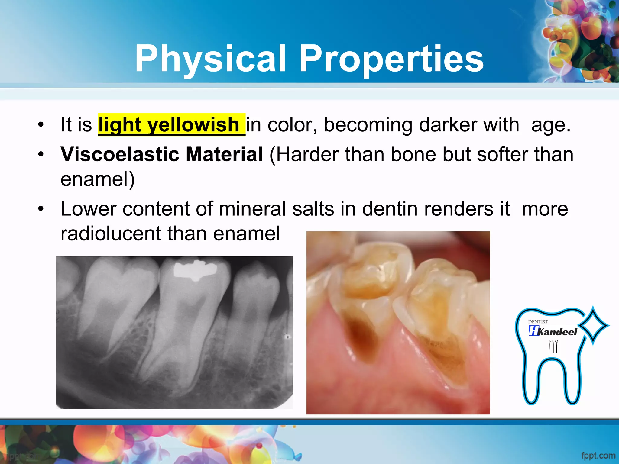 Dentin | PDF