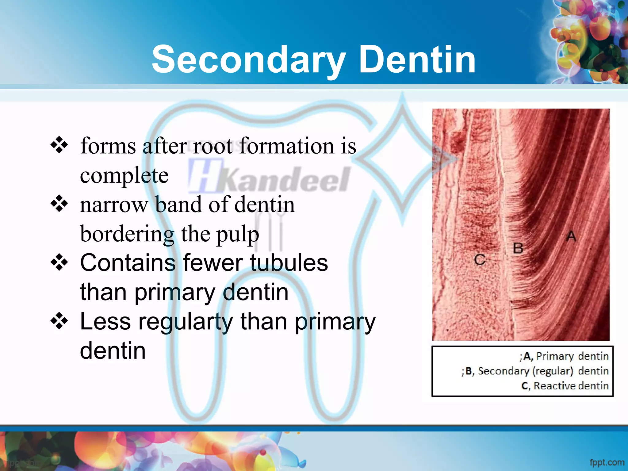 Dentin | PDF