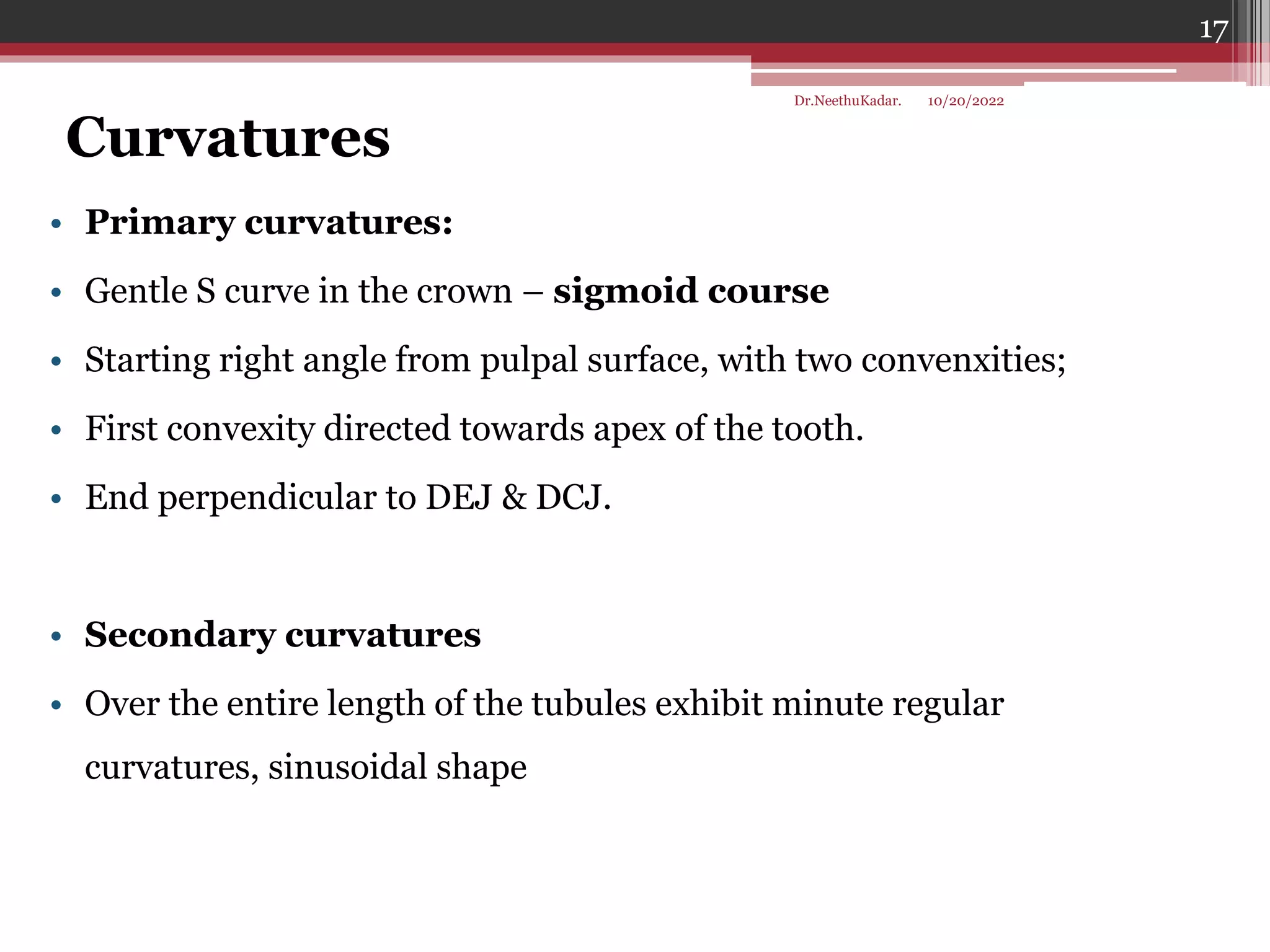 DENTIN.pptx