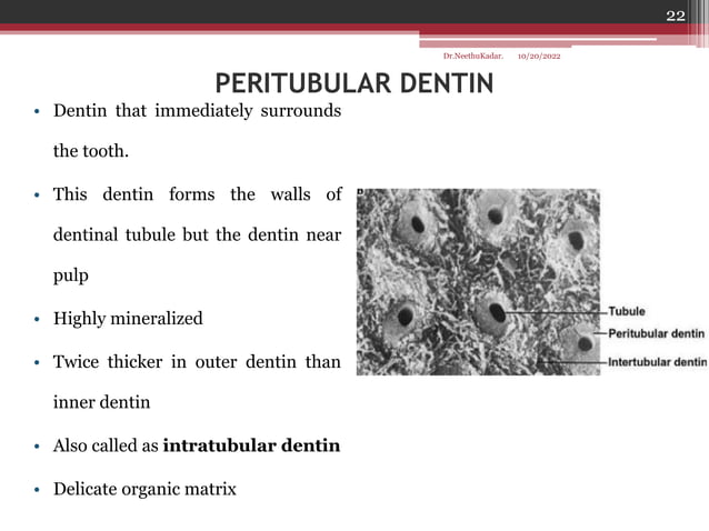 DENTIN.pptx
