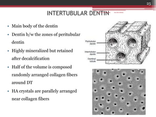 Intratubular Dentin