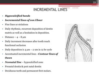 Incremental Lines Of Von Ebner