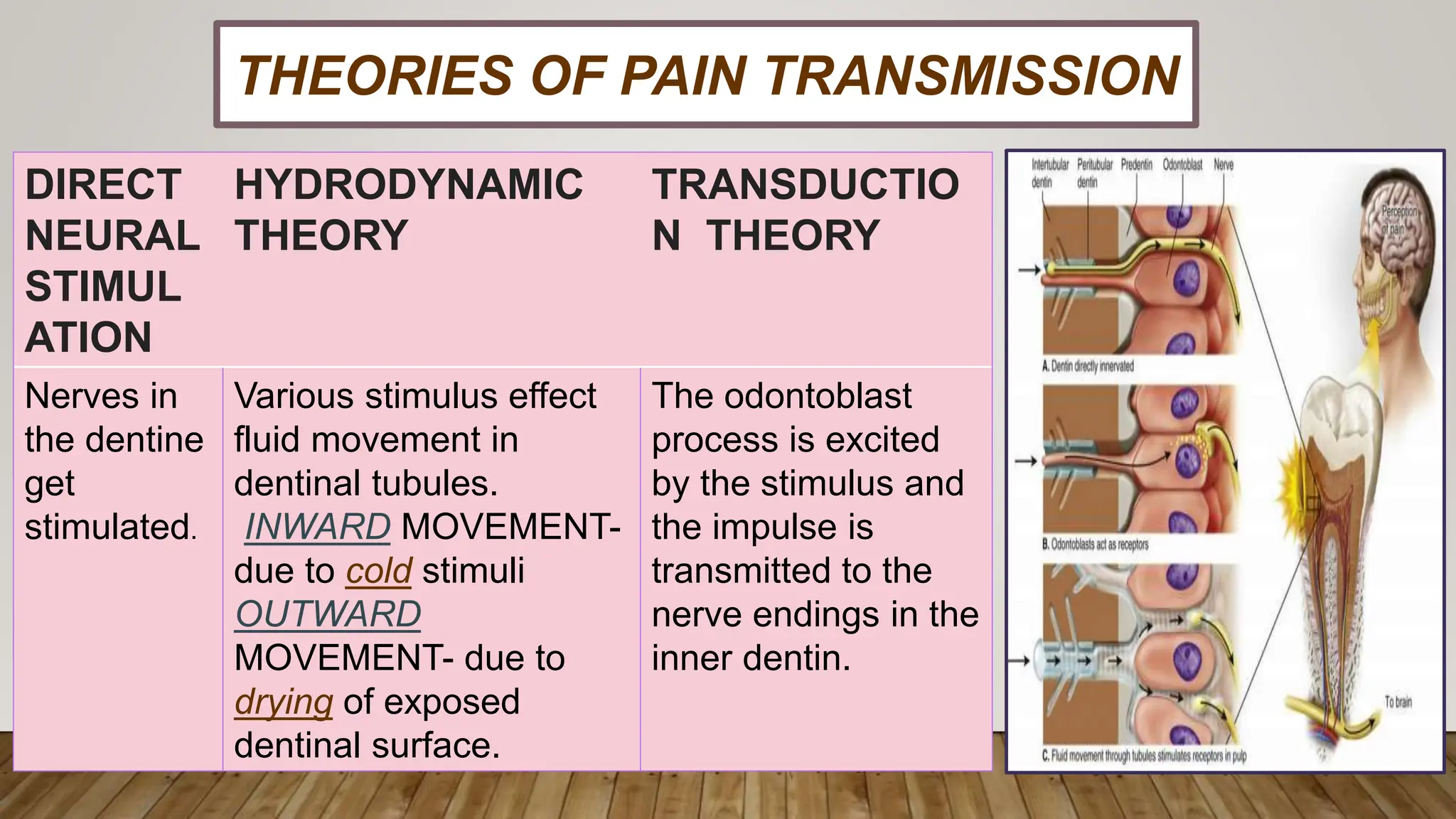 DENTIN seminar DENTIN seminar DENTIN seminar | PPTX