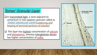 DENTIN seminar DENTIN seminar DENTIN seminar | PPTX