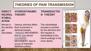 DENTIN seminar DENTIN seminar DENTIN seminar | PPT