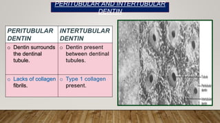 DENTIN seminar DENTIN seminar DENTIN seminar | PPTX