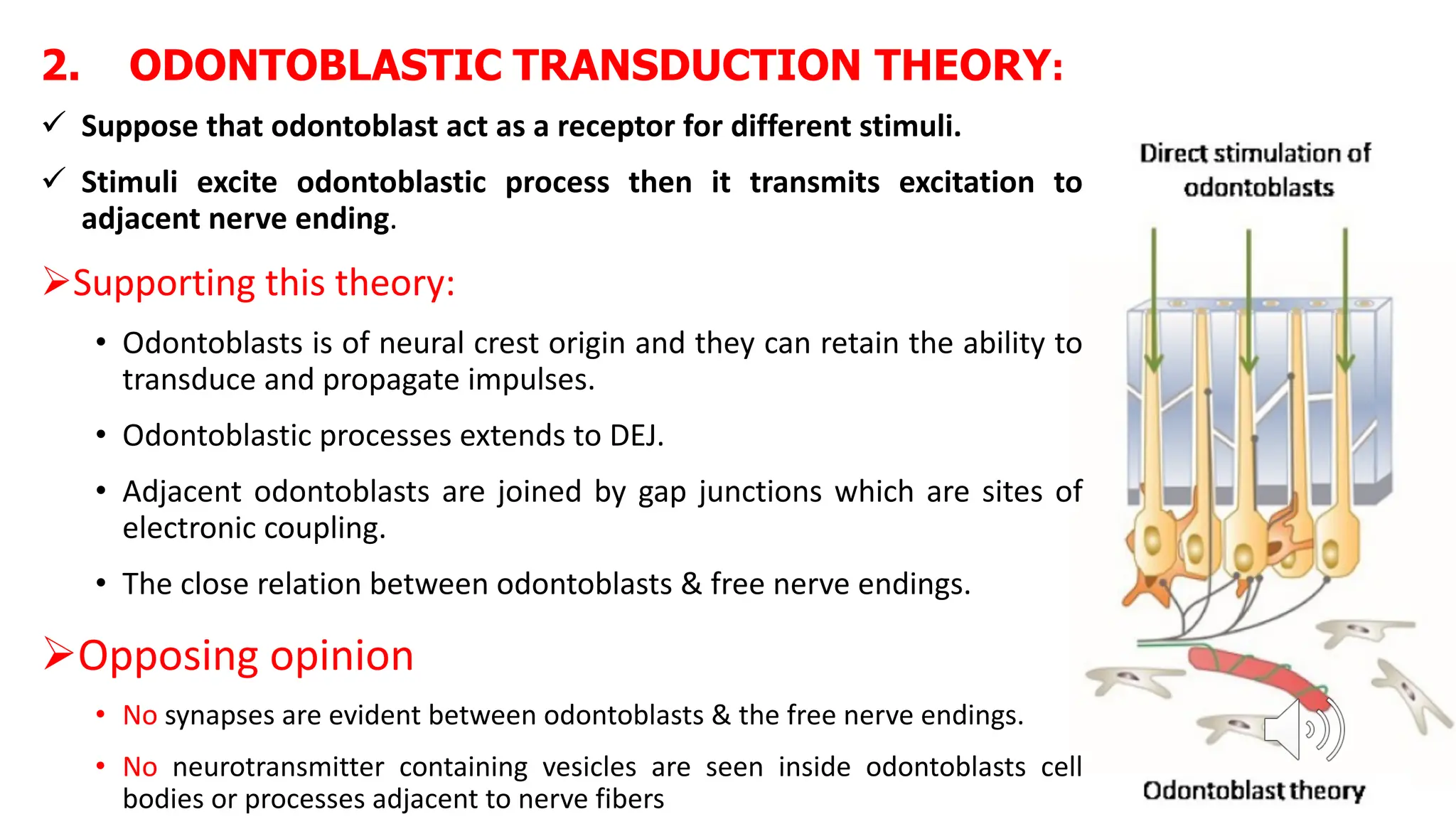 dentin full chapter lecture' oral histology.pdf
