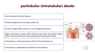 dentin full chapter lecture' oral histology.pdf