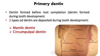 dentin full chapter lecture' oral histology.pdf