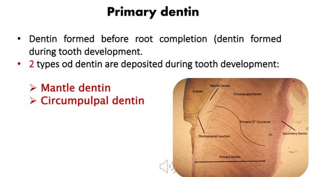 dentin full chapter lecture' oral histology.pdf | Dental Health ...