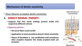 dentin full chapter lecture' oral histology.pdf
