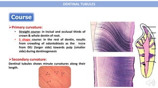 dentin full chapter lecture' oral histology.pdf