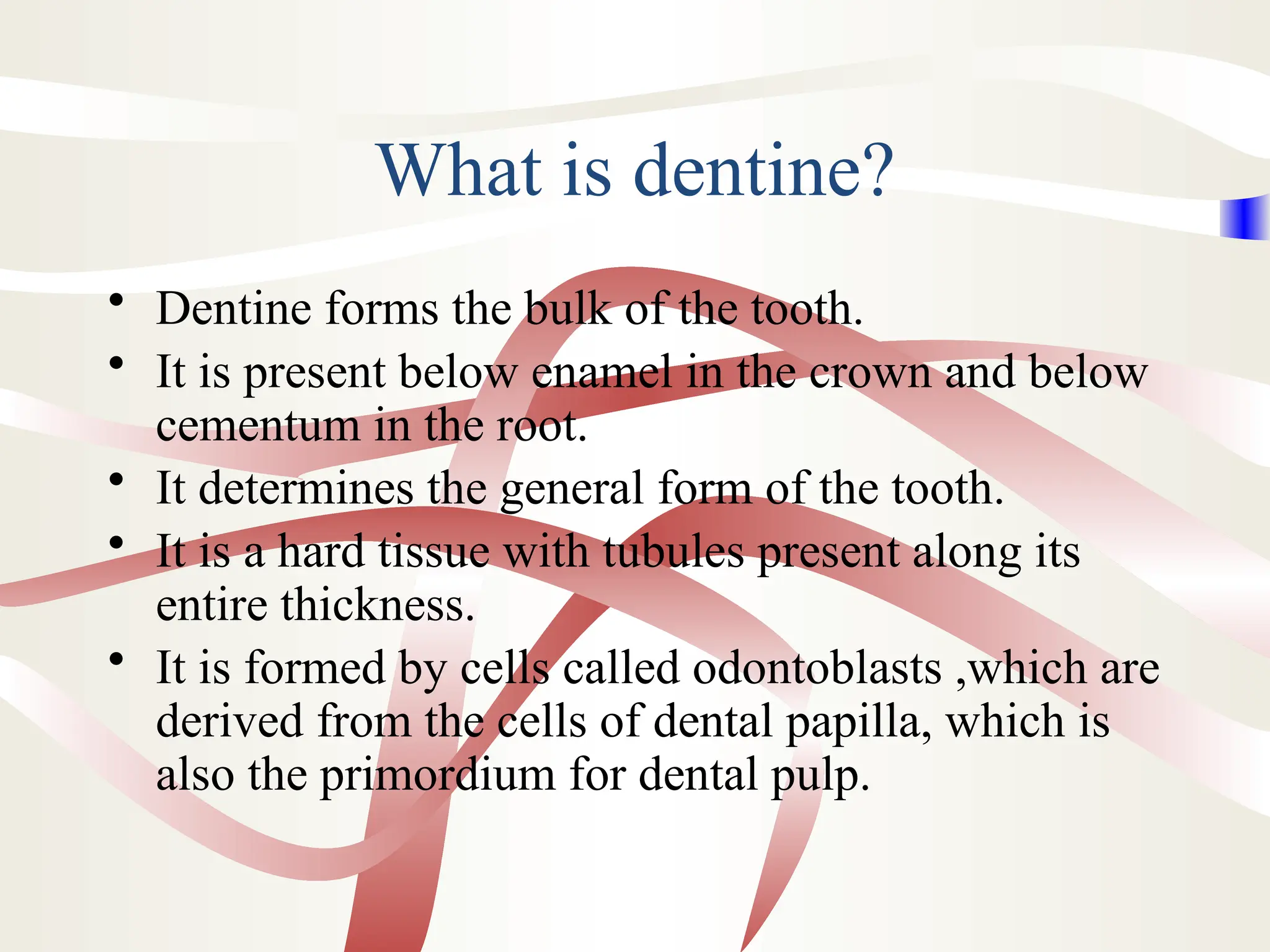 dentin formation , calcification, types , and dentinogenesis explained ...