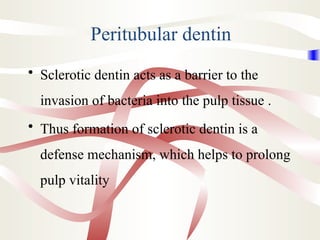 dentin formation , calcification, types , and dentinogenesis explained ...