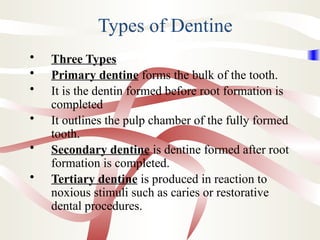 dentin formation , calcification, types , and dentinogenesis explained ...