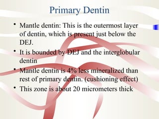 dentin formation , calcification, types , and dentinogenesis explained ...
