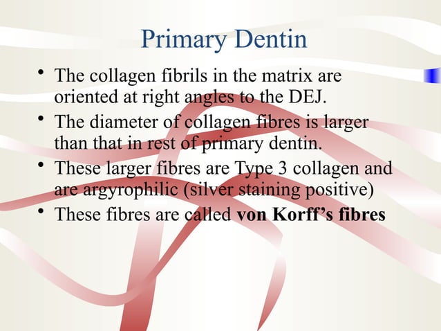 dentin formation , calcification, types , and dentinogenesis explained thoroughly | PPTX