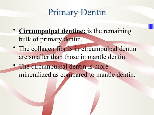 dentin formation , calcification, types , and dentinogenesis explained ...