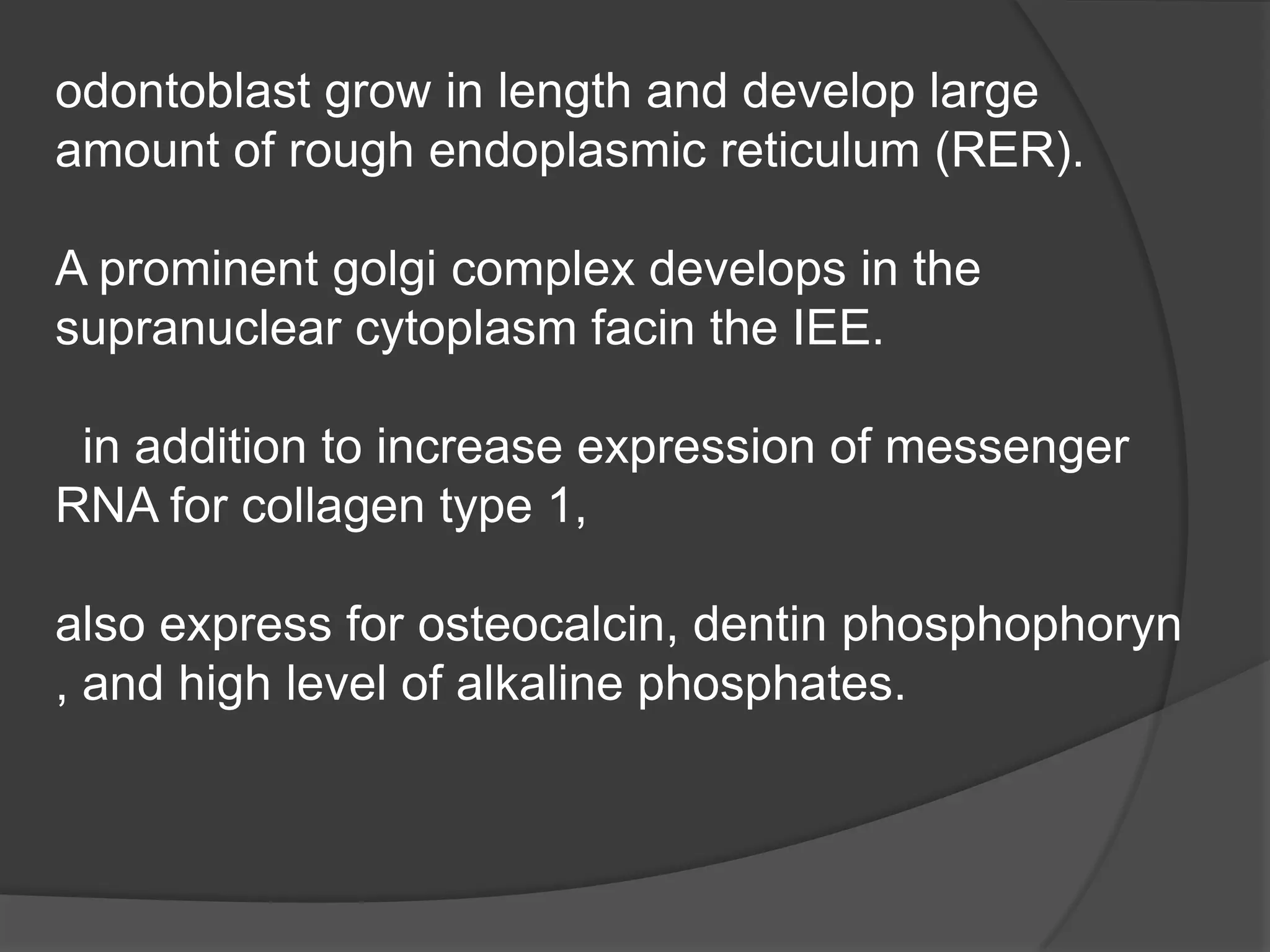 Dentin -kunal parekh..advancd oral biology | PPTX