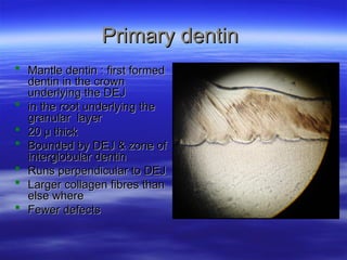 Dentin is a part of tooth. has a mojor role in the tooth structure and function.ppt