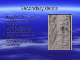 Dentin is a part of tooth. has a mojor role in the tooth structure and ...