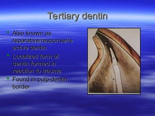 Dentin is a part of tooth. has a mojor role in the tooth structure and ...