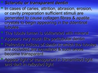 Dentin is a part of tooth. has a mojor role in the tooth structure and ...