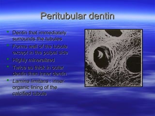 Dentin is a part of tooth. has a mojor role in the tooth structure and ...