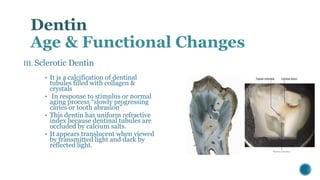 Dentin 2 | PPT
