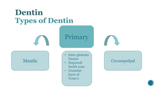 Dentin 2 | PPT