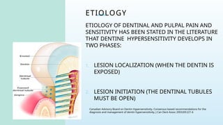 Dentinal hypersensitivity presentation.pptx