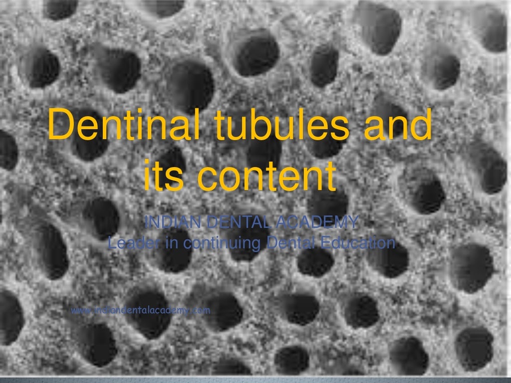 Dentinal tubules and its content final/cosmetic dentistry courses