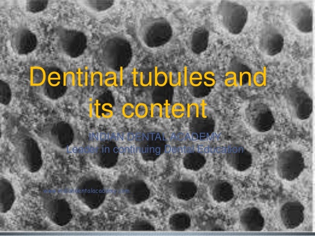 Dentinal tubules and its content final/cosmetic dentistry courses