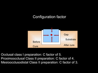 Dentin Bonding Systems in operative dentistry | PPT