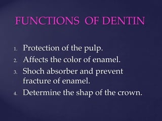 Dentin ^_^ | PPT | Free Download