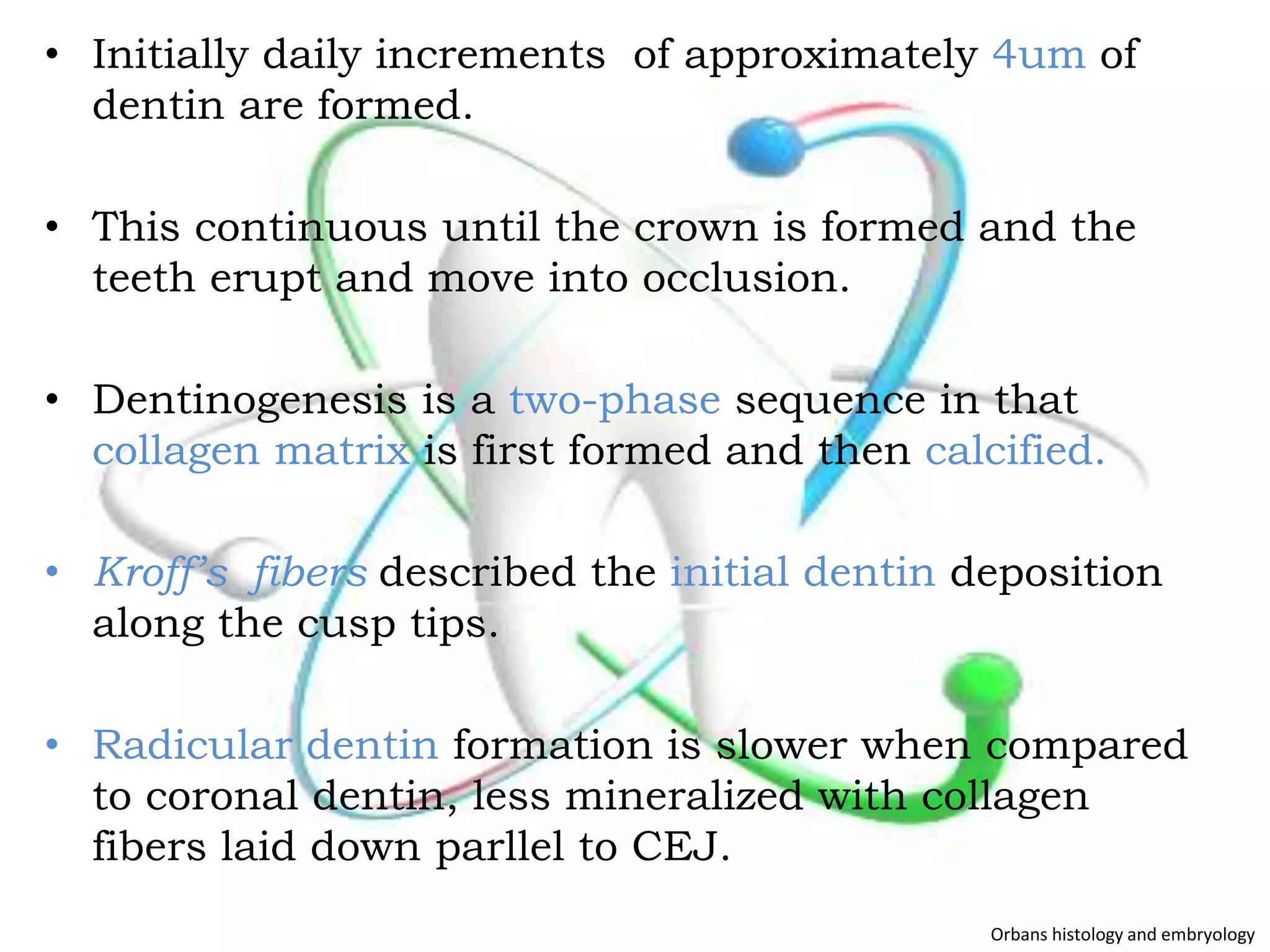 Dentin development | PPTX