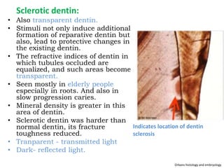 Sclerotic Dentin