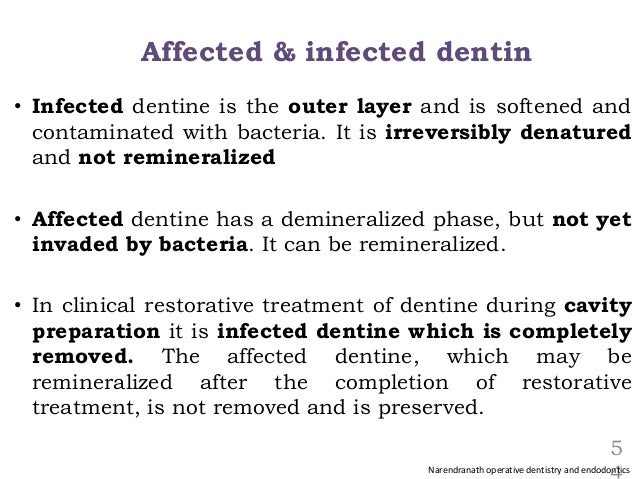 Dentin Development