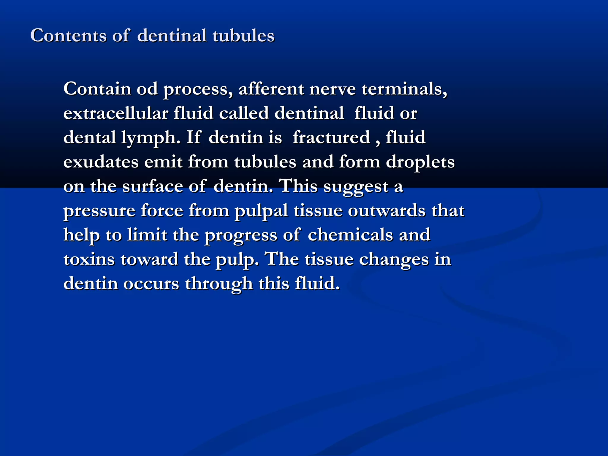 Dentine | PPT