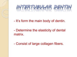 Dentin^_^ | PPT
