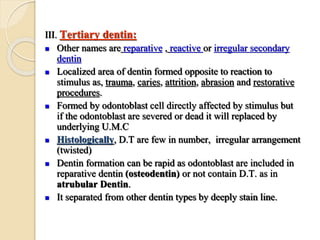 Dentin^_^ | PPT