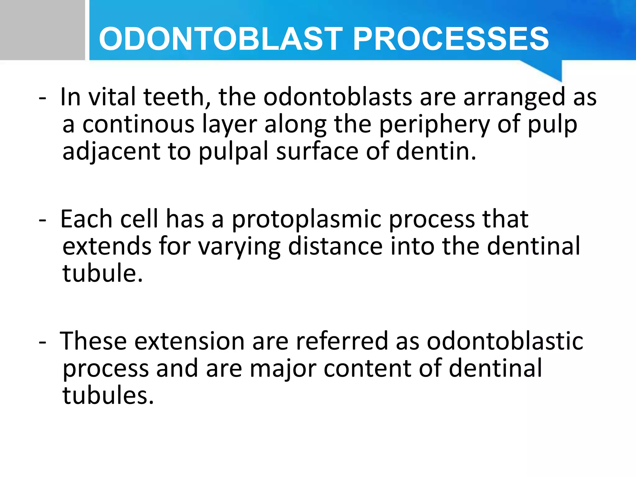 Dentin hypersensitivity | PPTX