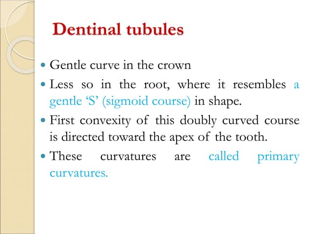 BDS first year Dentin presentation by SDM d | PPT